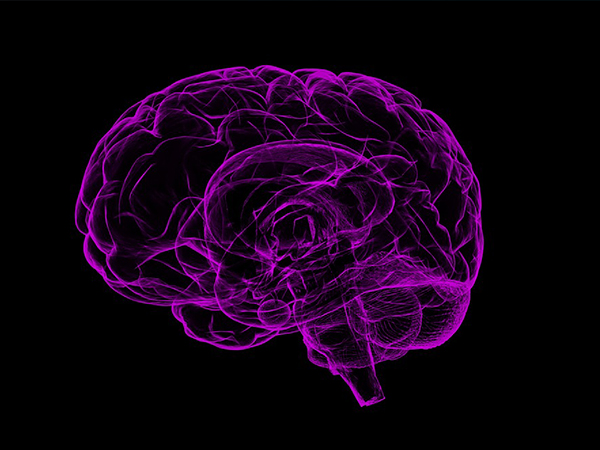 Alzheimer's Disease: Causes, Symptoms, Diagnosis, Treatment ...