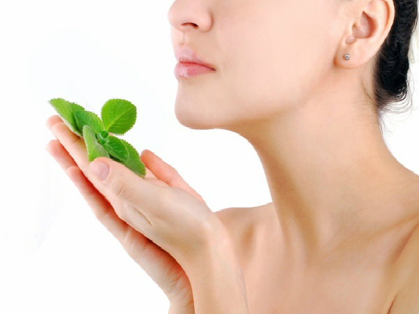 Benefits Of Mint For Skin And How To Use - Boldsky.com