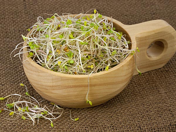 Chart Types Of Sprouts Sprouts: Types, Nutrition, Health Ben