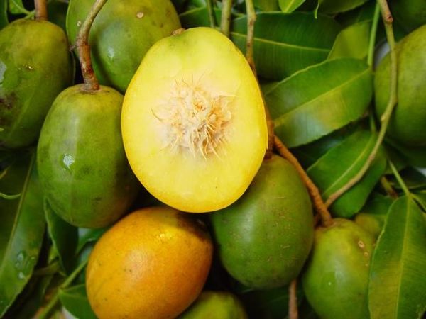 8 Lesser Known Health Benefits Of Ambarella, The Golden Apple - Boldsky.com