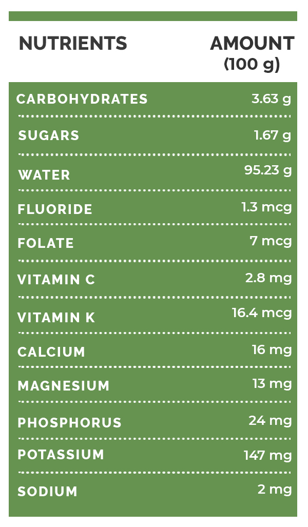 11 Health Benefits Of Eating Cucumber Daily - Boldsky.com