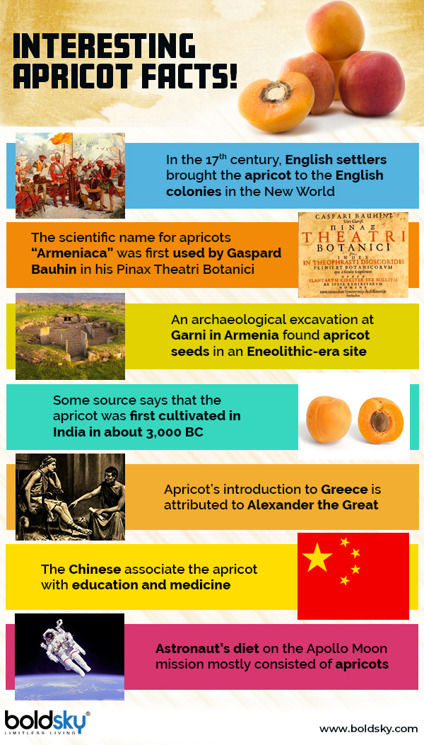 10 Fascinating Health Benefits Of Apricot, Nutrition And Recipes ...