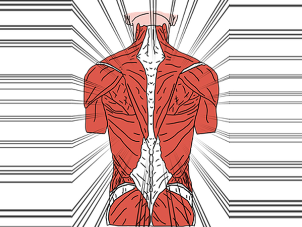 Episodic Ataxia: Types, Symptoms And Treatment - Boldsky.com