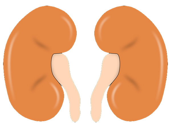 Hyperphosphatemia: Symptoms, Causes, Diagnosis And Treatment - Boldsky.com