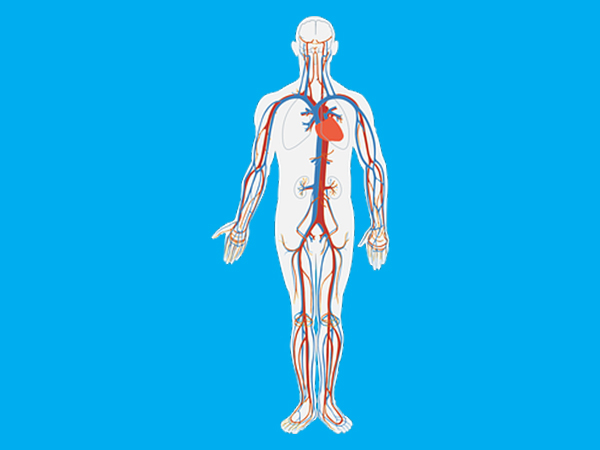Pericarditis: Causes, Symptoms, Diagnosis And Treatment - Boldsky.com