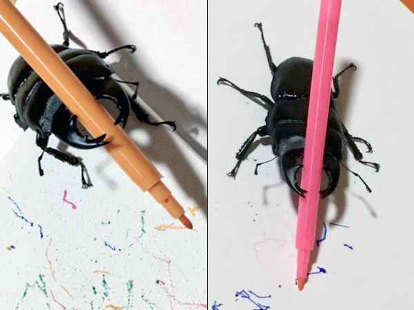 Can Beetles Paint? Meet Spike The Stag Beetle Who Is Winning Hearts ...