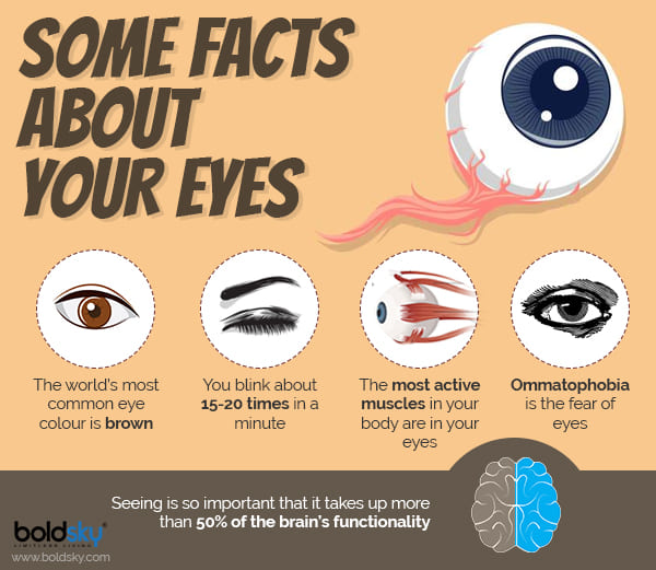 Researchers Explore How Human Eye Perceives Brightness Boldsky researchers-explore-how-human-eye-perceives-brightness-boldsky