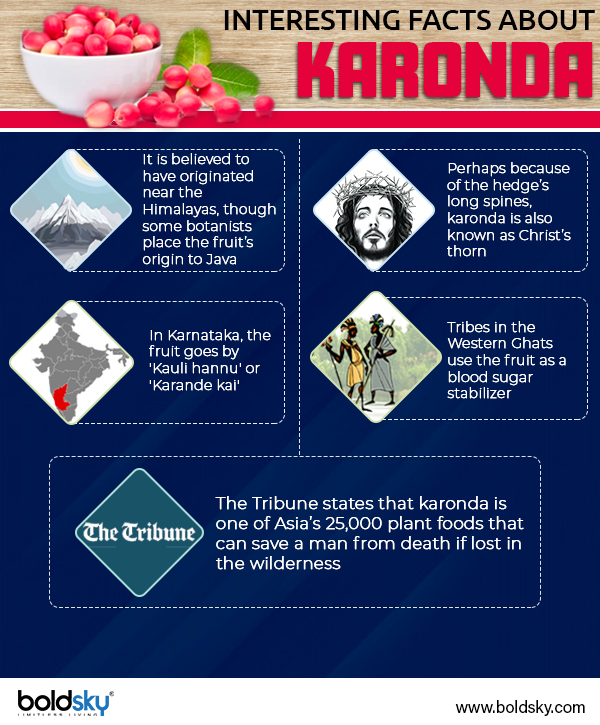 Health Benefits Of Karonda (Carissa carandas), Nutrition And Recipe ...