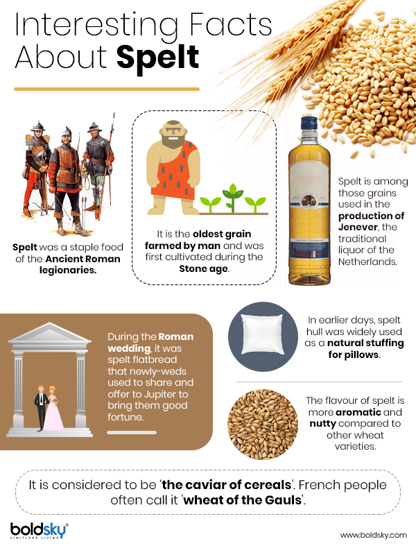 13 Health Benefits Of Spelt (Dinkel Wheat) - Boldsky.com