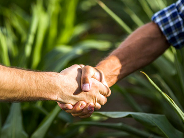 What Does Your Handshake Reveal About Your Personality - Boldsky.com