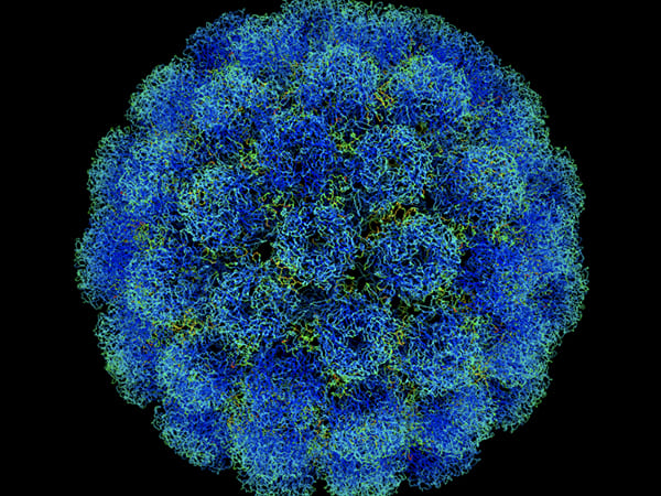 Myths And Facts About Coronavirus You Should Know - Boldsky.com