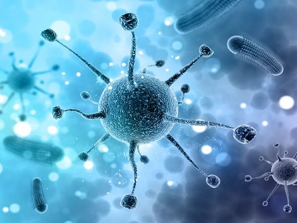 15 Deadly Viruses In Human History Apart From COVID-19 - Boldsky.com