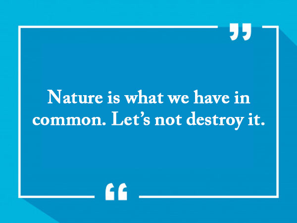 World Nature Conservation Day 2020: Quotes And Messages That Will ...