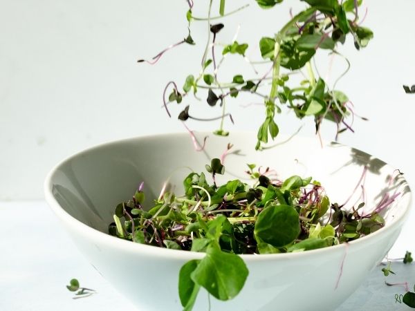 Microgreens: Nutrition, Health Benefits, Types And How To Eat - Boldsky.com