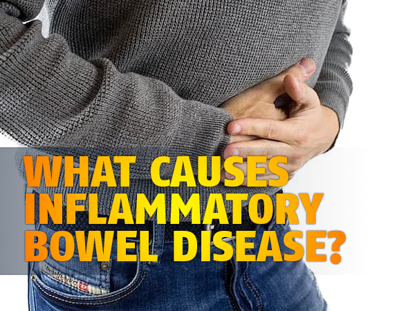 Inflammatory Bowel Disease: Causes, Symptoms, Risk Factors, Diagnosis ...