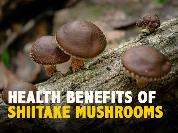 Shiitake Mushrooms: Nutrition, Health Benefits And Ways To Eat ...
