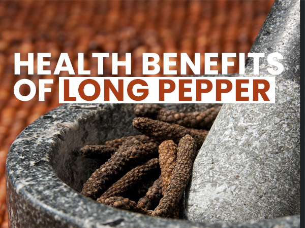 What Are The Health Benefits Of Long Pepper (Pippali)? - Boldsky.com