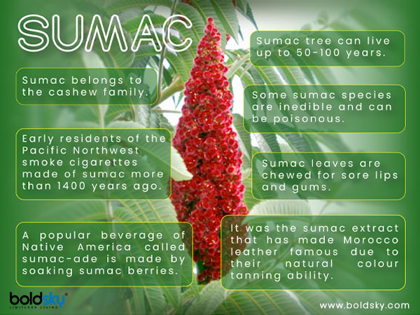 From Treating COVID-19 Symptoms To Managing Diabetes, The Amazing ...