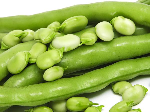 11 Progesterone-Boosting Foods That Can Increase The Hormone Naturally ...