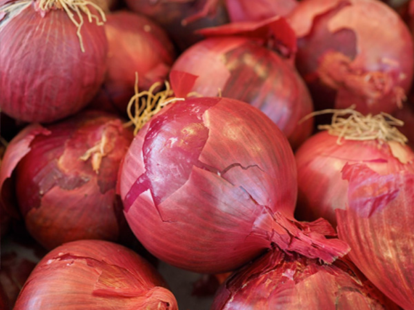 Difference Between Spring Onions, Shallots And Red Onions: Which Is ...
