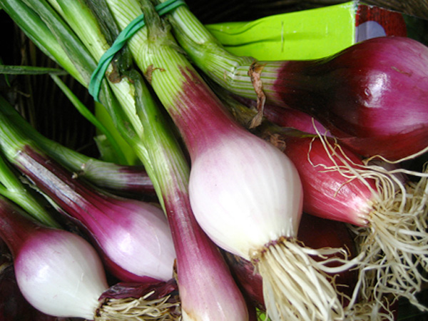 Difference Between Spring Onions, Shallots And Red Onions: Which Is ...