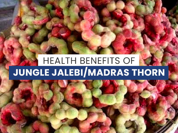 What Are The Health Benefits Of Jungle Jalebi Madras Thorn Boldsky what-are-the-health-benefits-of-jungle-jalebi-madras-thorn-boldsky