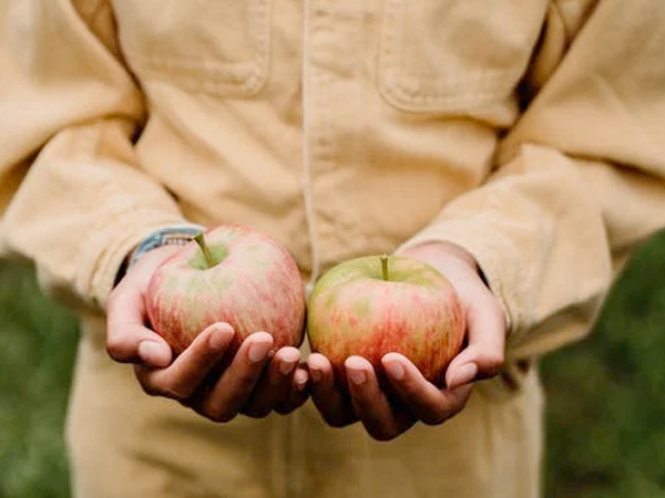 Organic Vs Non-Organic Foods: Know Their Pros And Cons And Which One Is ...