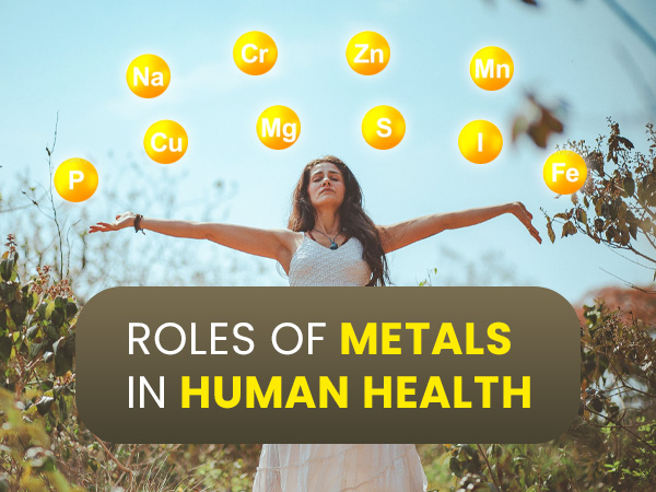 Essential Metals And Their Role In Human Health - Boldsky.com