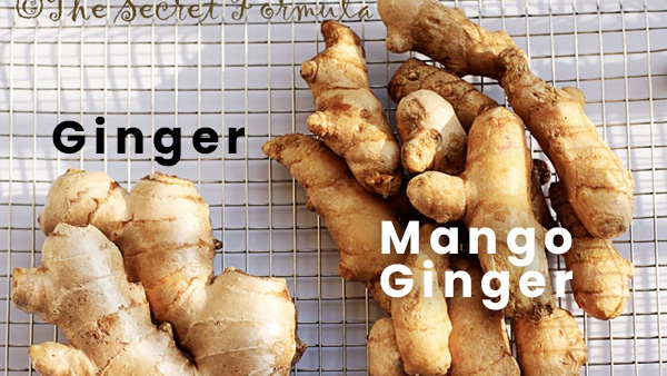 Health Benefits Of Mango Ginger And Its Uses: How Is It Different From ...