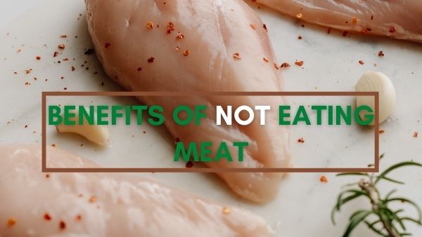 11 Benefits Of Not Eating Meat; Tips To Reduce Meat Consumption ...