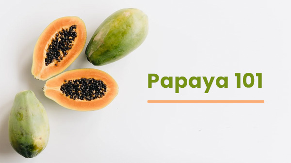 Papaya 101: Everything You Need To Know About The Fruit - Boldsky.com