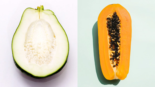 Unripe Papaya