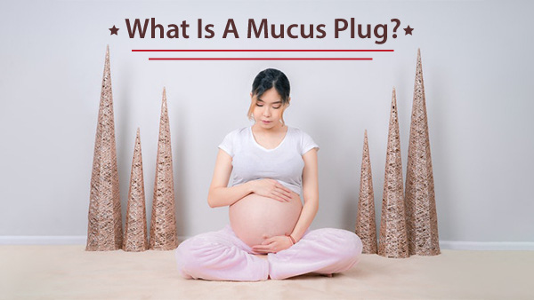 What Is A Mucus Plug? What Does Losing Your Mucus Plug Mean During ...