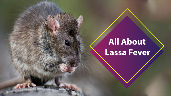 First Death Confirmed In UK From New Outbreak; Know More About Lassa ...