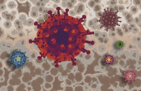 Rift Valley Fever: What Is RVF? Know About Symptoms And Treatment ...