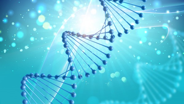 Myostatin Related Muscle Hypertrophy: A Rare Condition Of Bulging ...