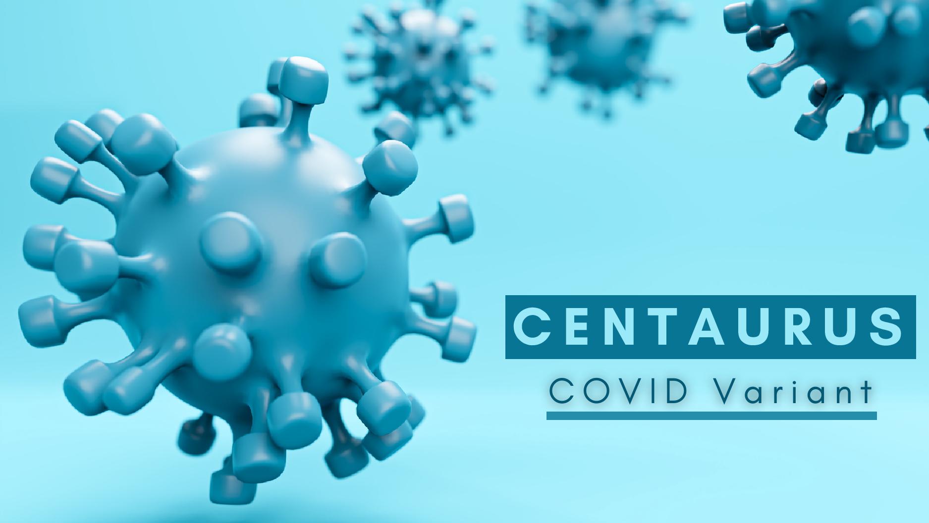 What Is ‘Centaurus,’ New Fast-Spreading Covid Variant: Everything You ...