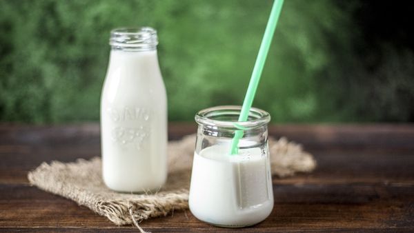 Is Boiled Milk Healthier: Health Benefits Of Boiled Milk, Nutritional ...
