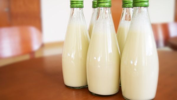 Is Boiled Milk Healthier: Health Benefits Of Boiled Milk, Nutritional ...