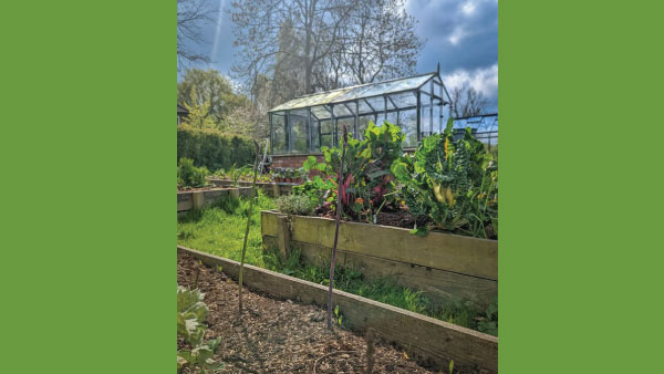 How To Create A Kitchen Garden: 6 Design Tips From Expert - Boldsky.com