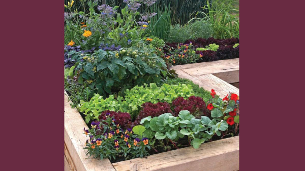 How To Create A Kitchen Garden: 6 Design Tips From Expert - Boldsky.com
