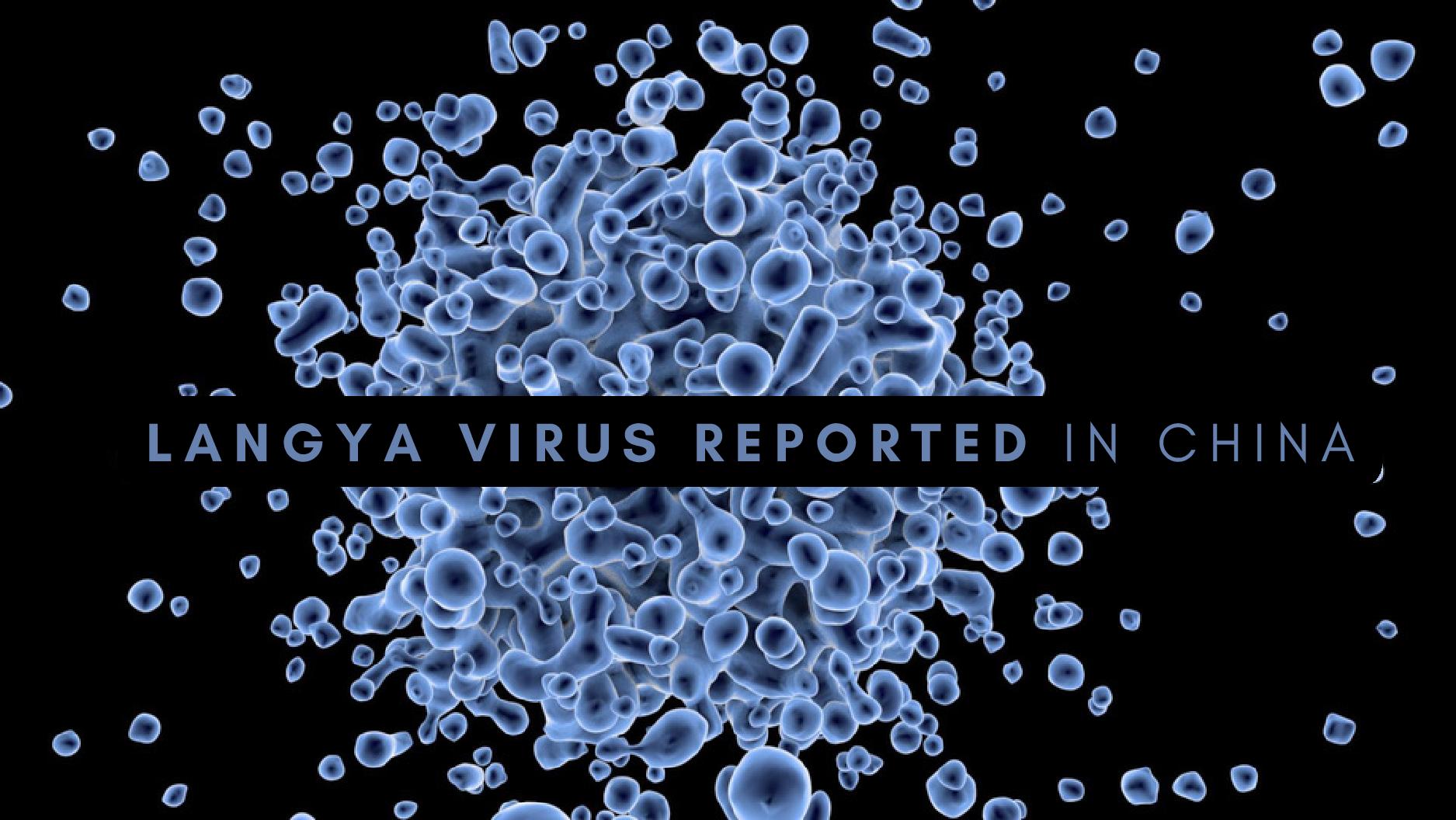 Langya Virus Reported In China Causes Liver, Kidney Failure: Symptoms ...