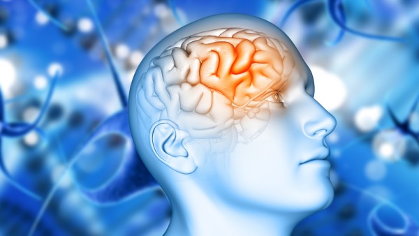 Scientists Develop AI Algorithms That Can Detect Brain Abnormalities ...