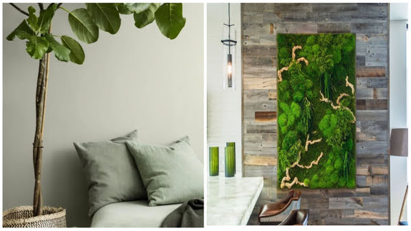 6 Best Ideas To Decorate With Greenery In Your Home - Boldsky.com