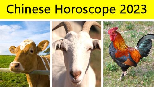 Chinese Horoscope 2023: Find Out What Is In Store For You This Chinese ...