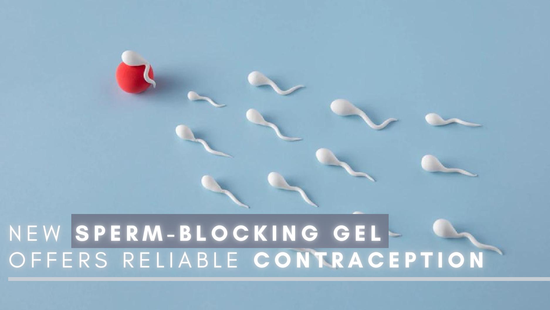 New Sperm-Blocking Gel Offers Reliable Contraception; An Alternative To ...