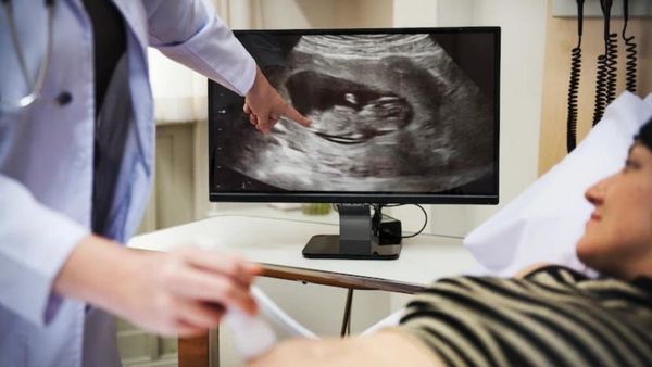 What To Expect During The Fifth Month Of Pregnancy? - Boldsky.com