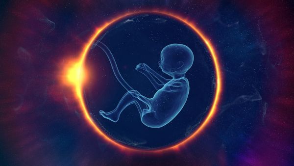 World's First Artificial Womb Facility: Parents Can Pick The Baby’s ...