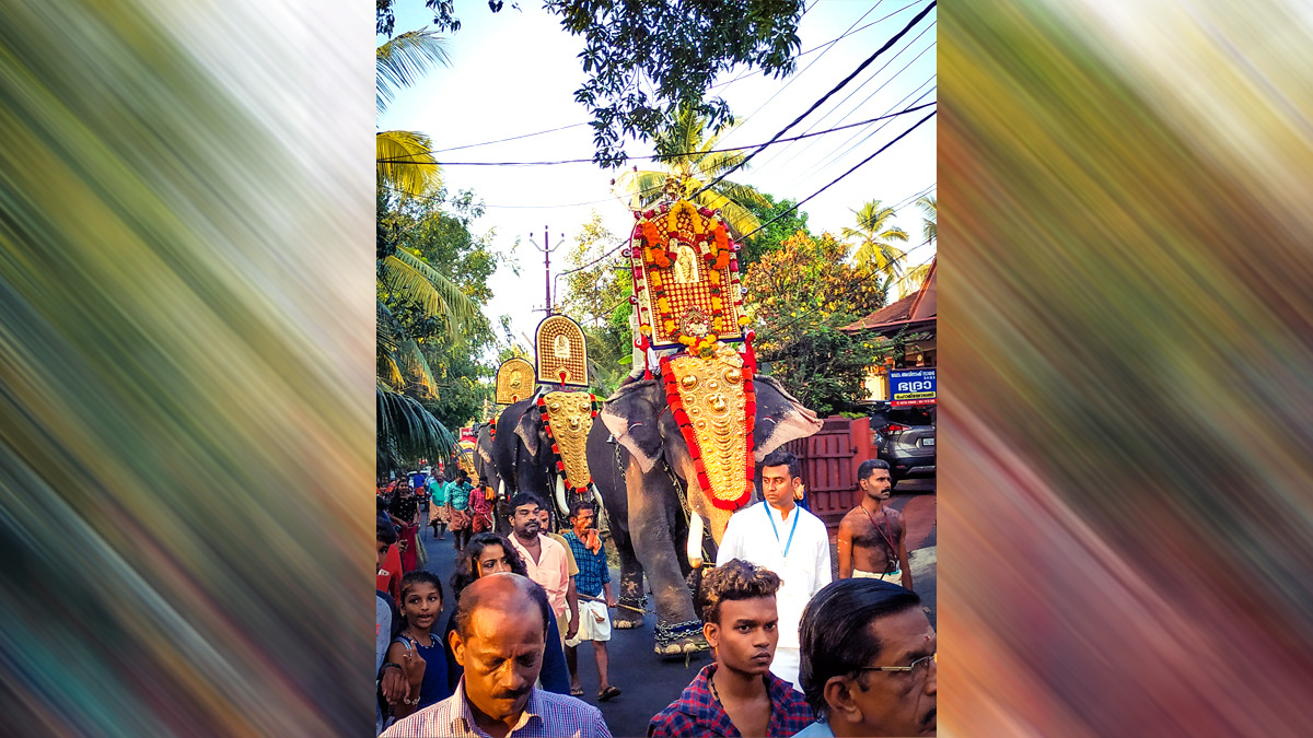 The Magnificent Parade Of Elephants At The Festival Of Adoor Gajamela ...