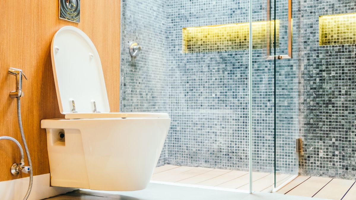 Bathroom Habits: Here Is Why You Should Stop Flushing Toilet With The ...